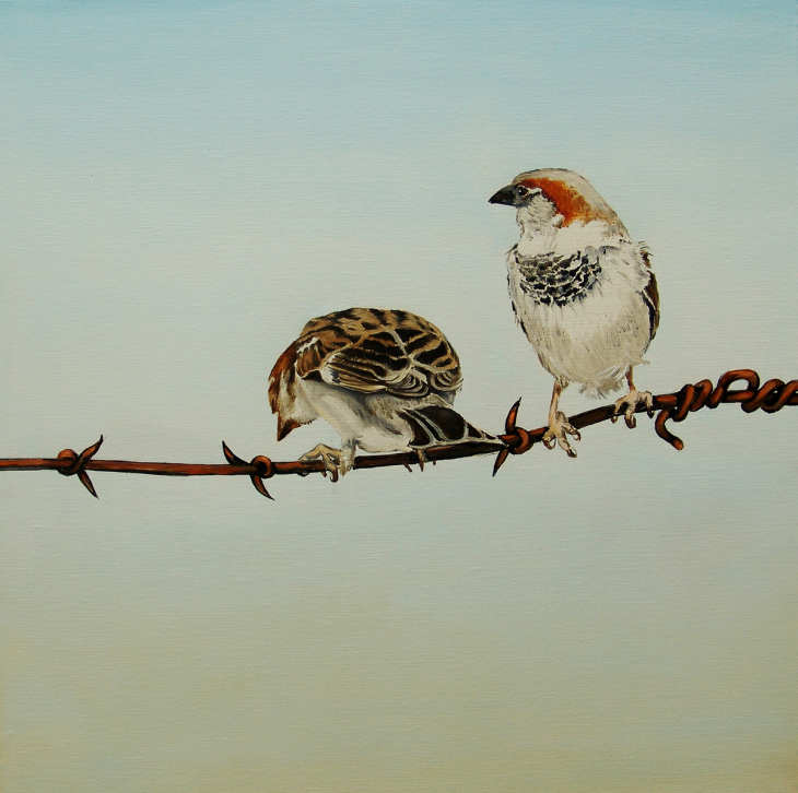 Birds on Barbed Wire | Suzanne Wiggins